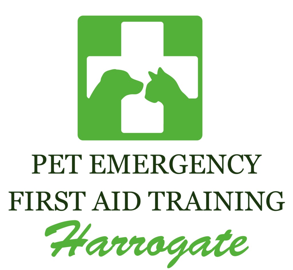 Pet First Aid - First Aid Training Harrogate